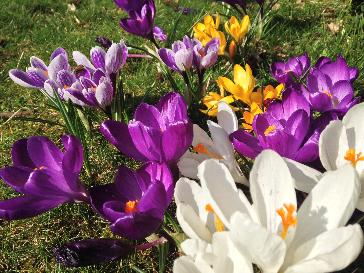 Northampton - BBC Weather