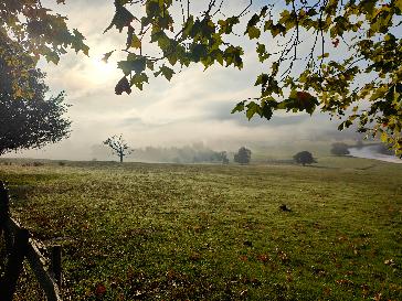 Ludlow - BBC Weather