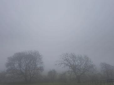 Sandbach - BBC Weather