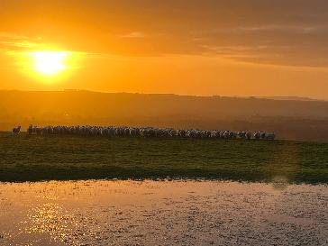 Trowbridge - BBC Weather
