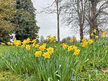 Colchester - BBC Weather