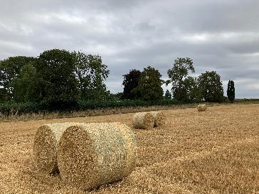 Daventry - BBC Weather