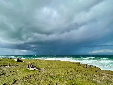 Hayle - BBC Weather