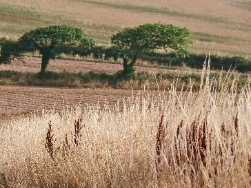 Tintagel - BBC Weather