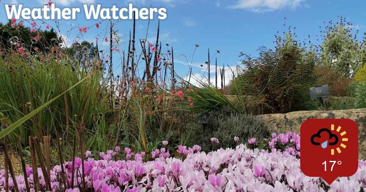 Report - BBC Weather Watchers