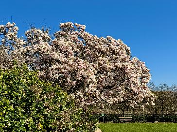 Clitheroe - BBC Weather