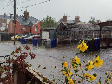 Chelmsford - BBC Weather