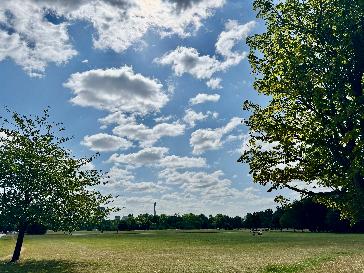 Enfield Town - BBC Weather