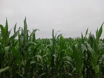 Nottingham - BBC Weather