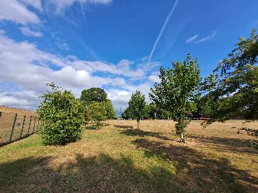 Woking - BBC Weather