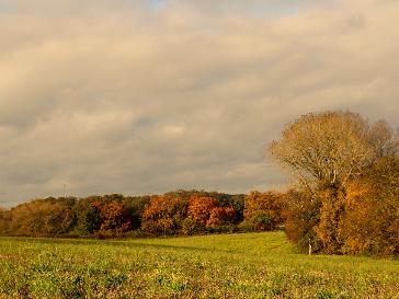 Redditch - BBC Weather