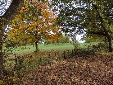Gatwick Airport - BBC Weather