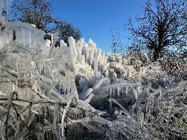 Rayleigh - BBC Weather