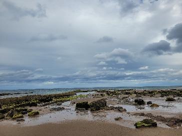 Gateshead - BBC Weather