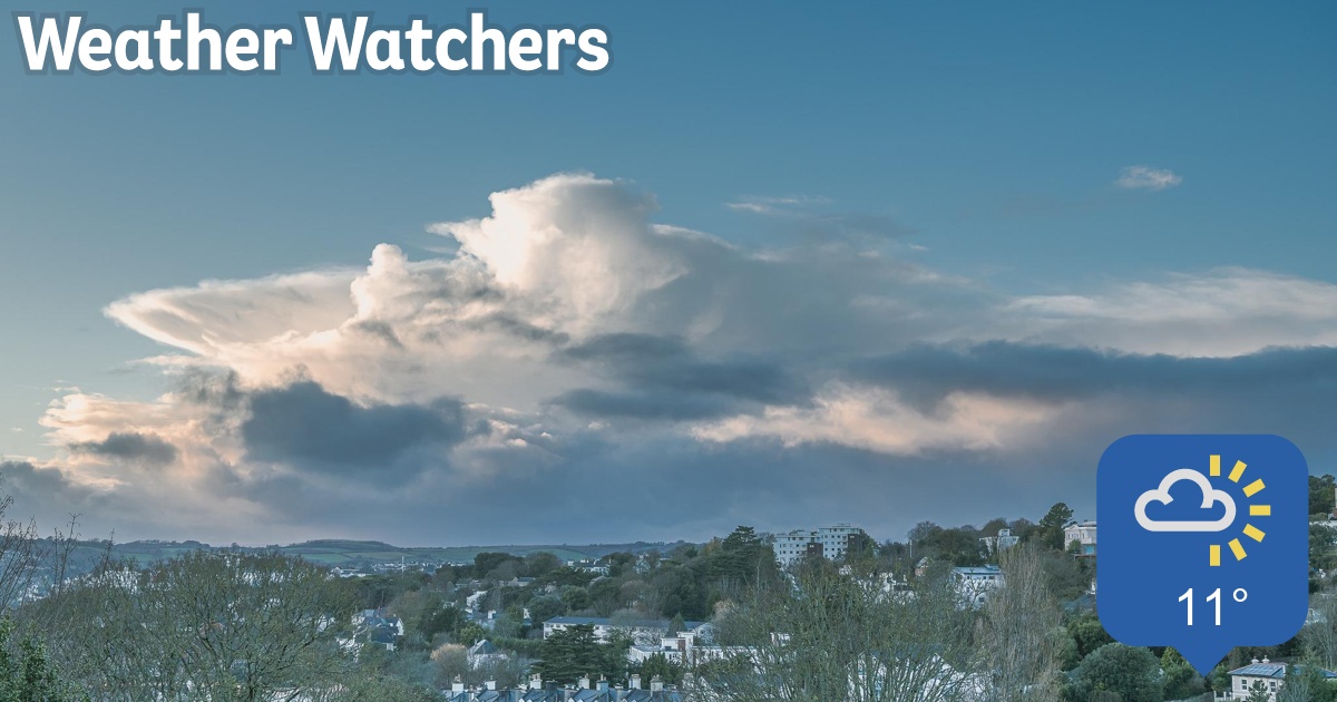 Report - BBC Weather Watchers