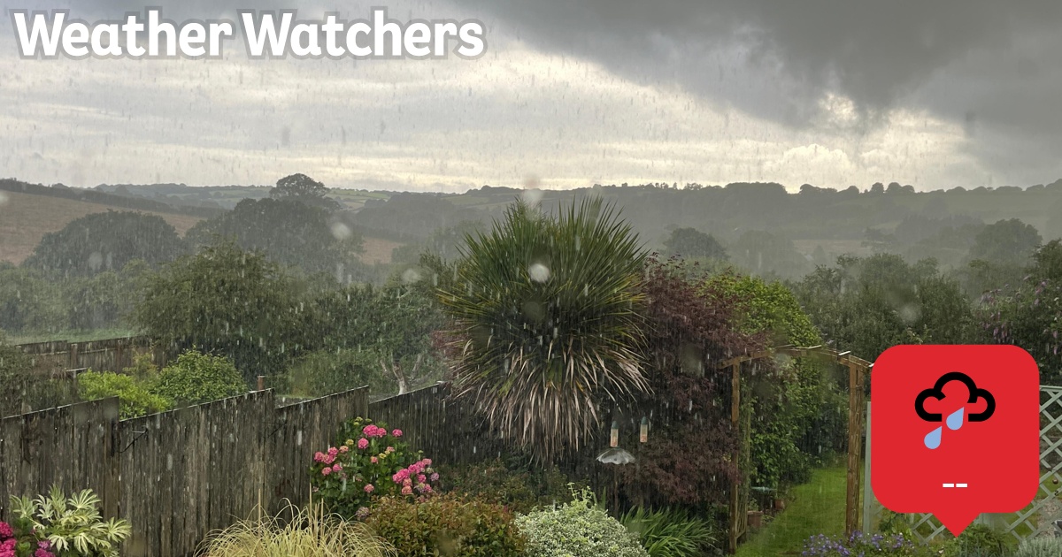 Report - BBC Weather Watchers