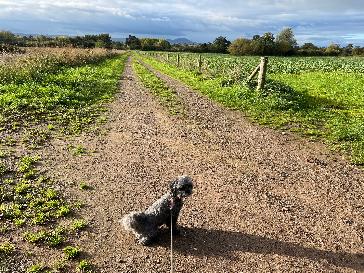Congleton - BBC Weather