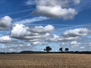 Worcester - BBC Weather