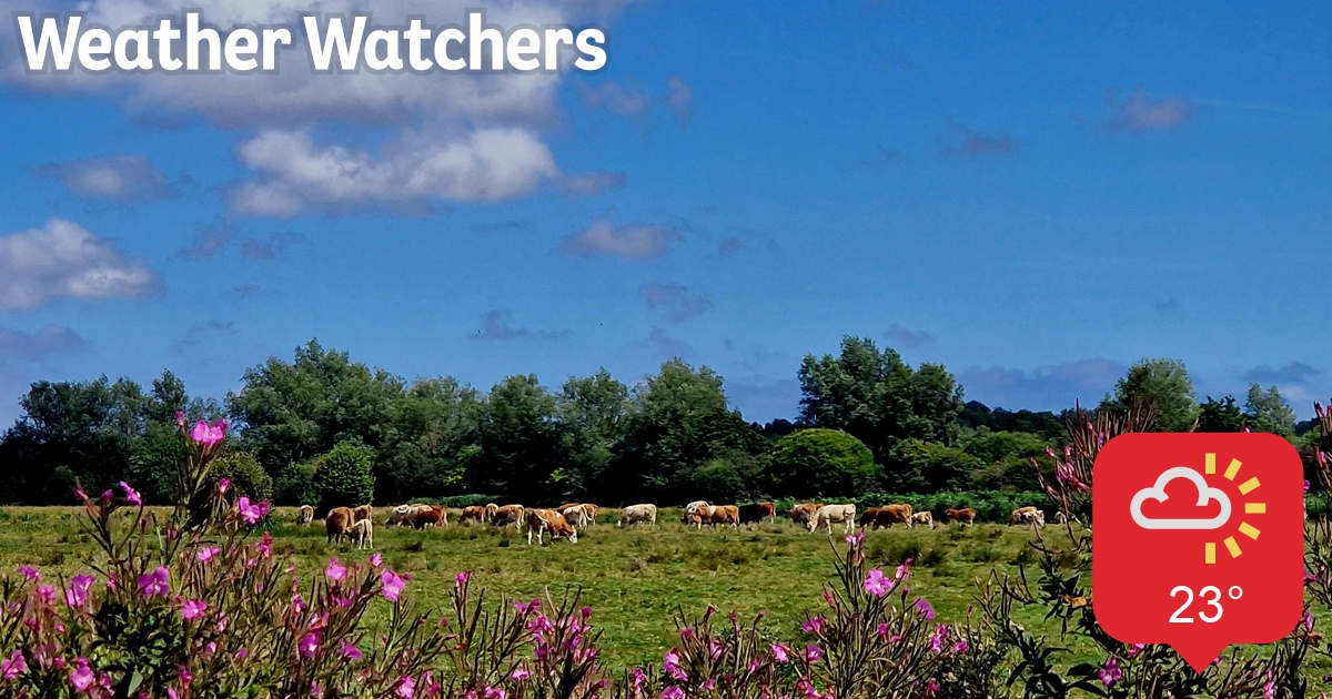 Report - BBC Weather Watchers
