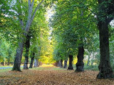Nottingham - BBC Weather