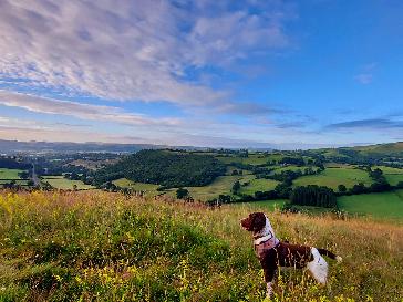 Borth - BBC Weather