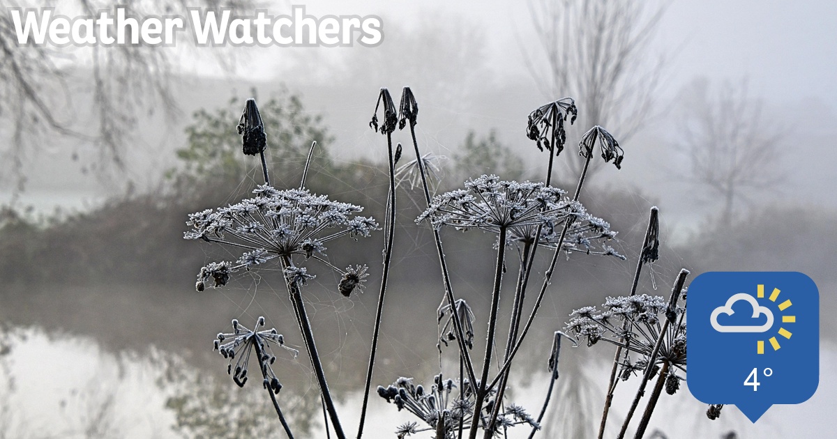 Report - BBC Weather Watchers
