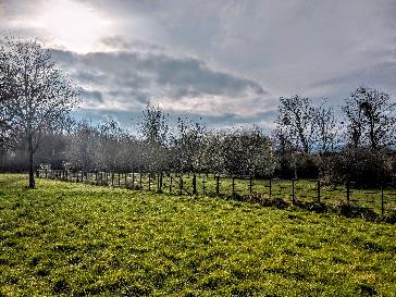 Gloucester - BBC Weather