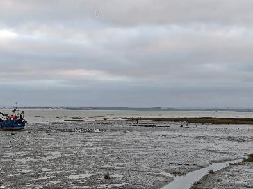 Braintree - BBC Weather