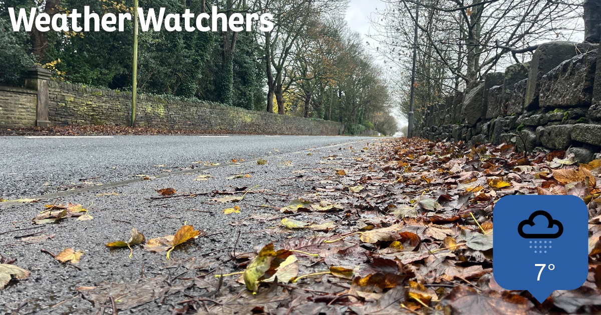 Report - BBC Weather Watchers