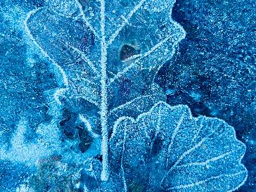 Evesham - BBC Weather