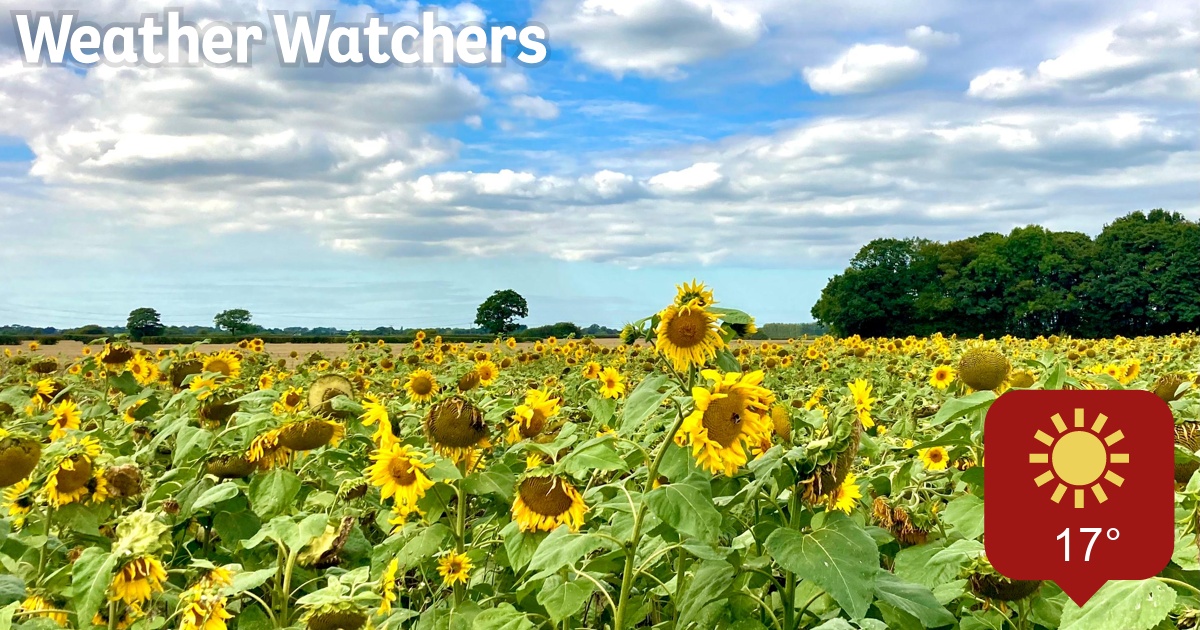 Report - BBC Weather Watchers