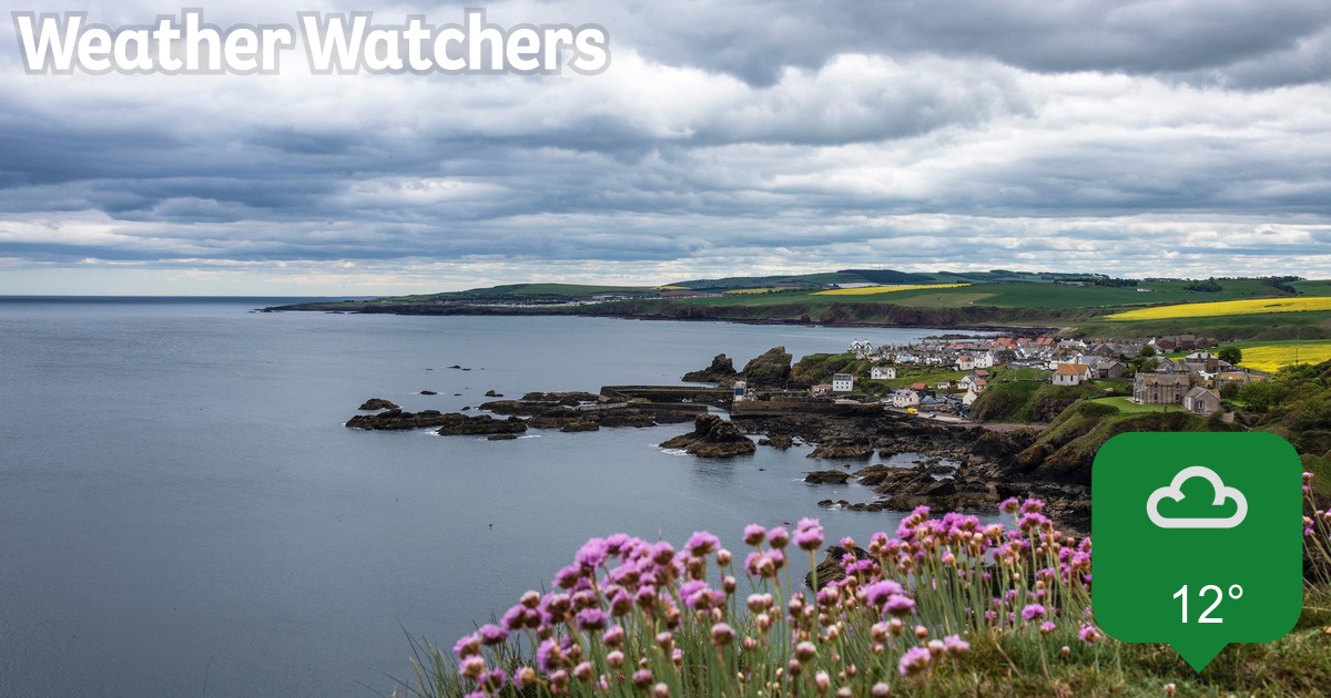 Report - BBC Weather Watchers