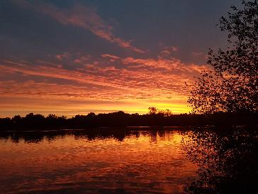 Watford - BBC Weather