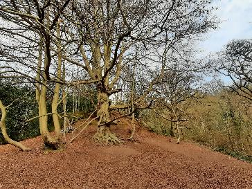 Evesham - BBC Weather