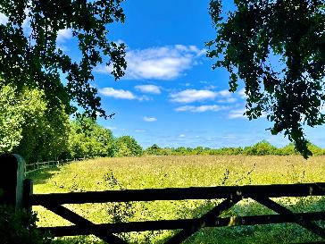 Reading - BBC Weather