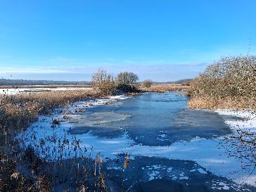 Rayleigh - BBC Weather