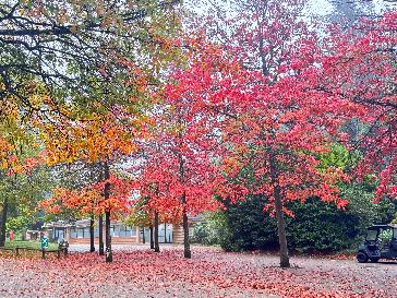 Devizes - BBC Weather