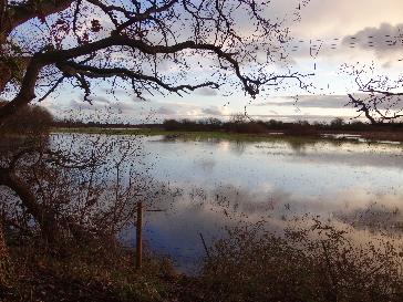Winchester - BBC Weather