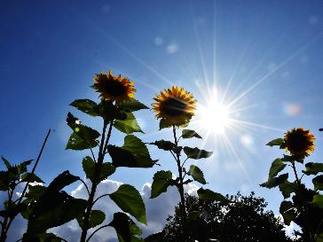 Walsall - BBC Weather