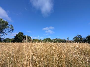 Halesowen - BBC Weather