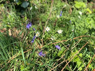Oswestry - BBC Weather