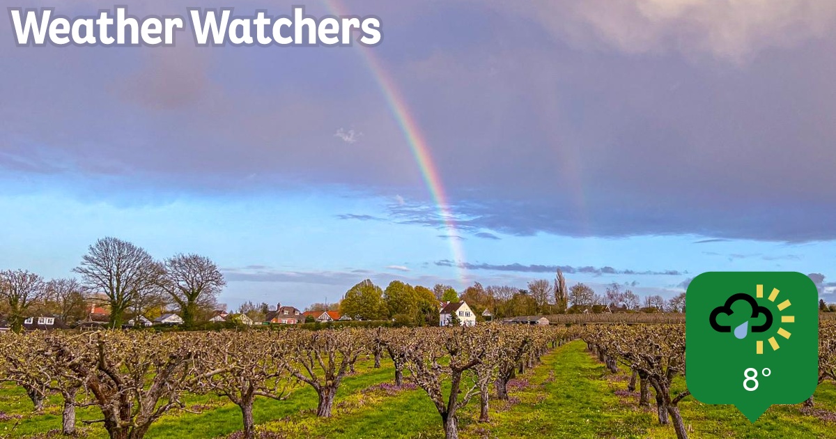Report - BBC Weather Watchers
