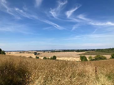 Reading - BBC Weather