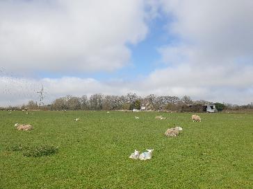 Swindon - BBC Weather