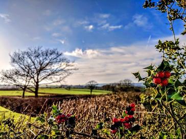 Swansea - BBC Weather