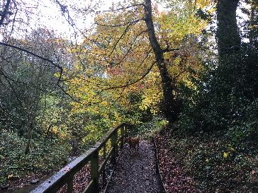 Wolverhampton - BBC Weather