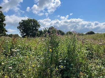 Redditch - BBC Weather