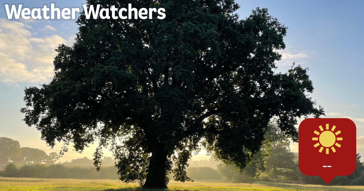 Report - BBC Weather Watchers