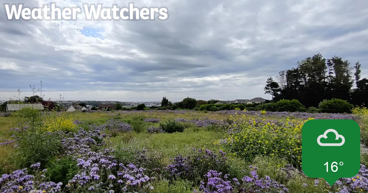 Report - BBC Weather Watchers