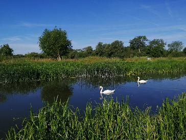 Gloucester - BBC Weather